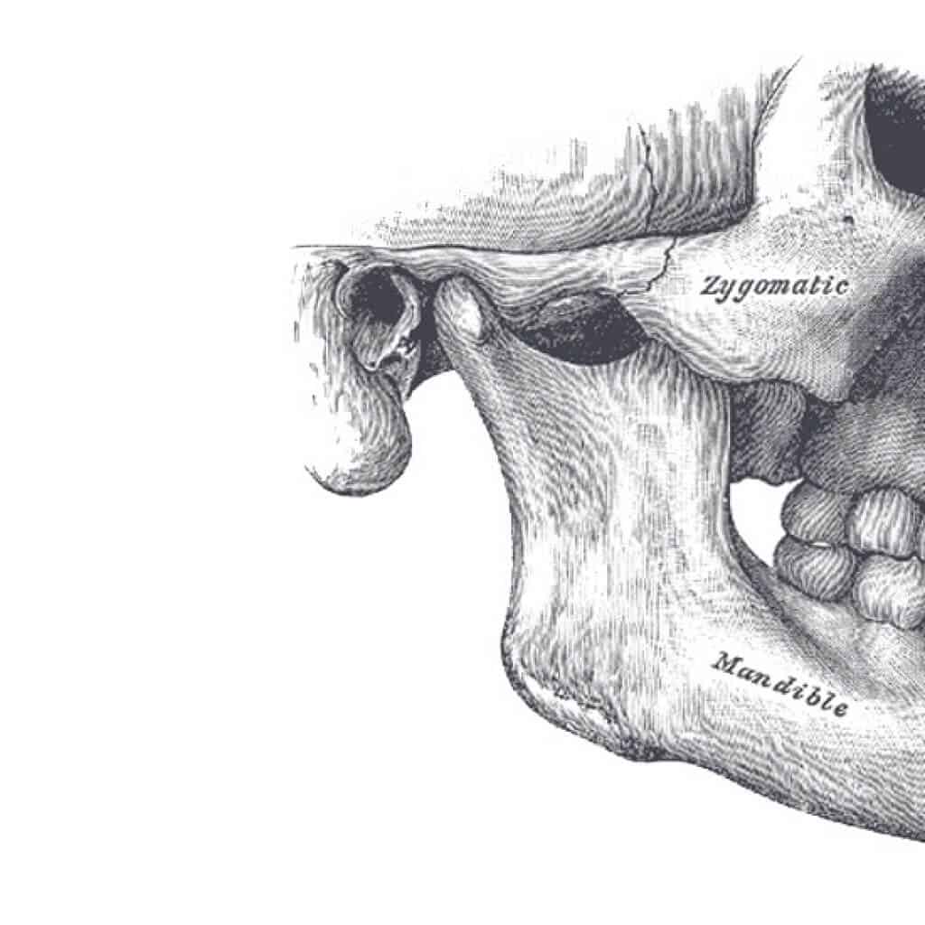 Australian Teeth Numbers Charts - Teeth FAQ Blog